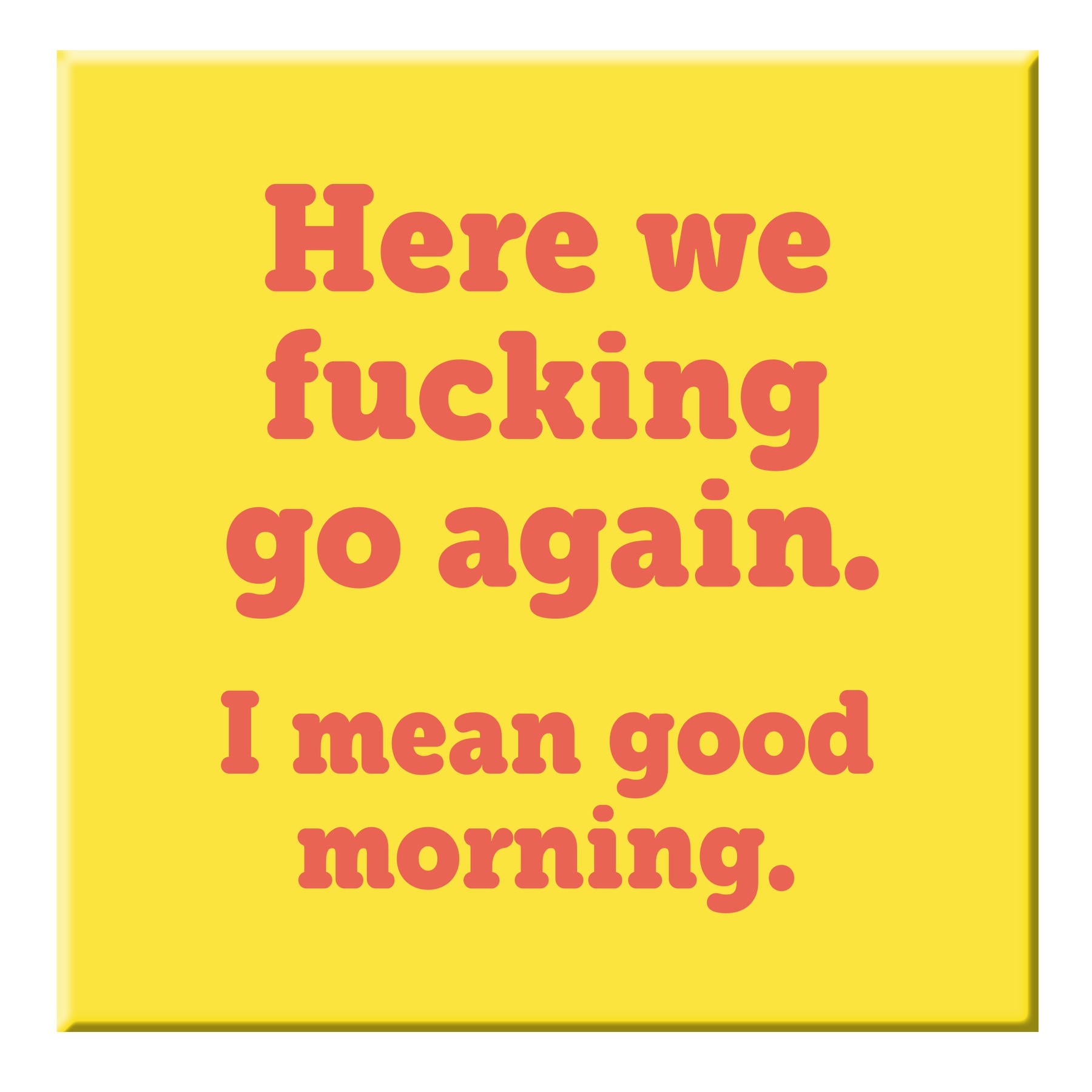 Funny Magnet - Here we ... go again – Chris's Stuff, Inc